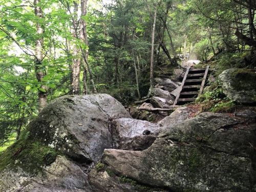 7 Fire Tower Hikes In Vermont For The Most Rewarding Views