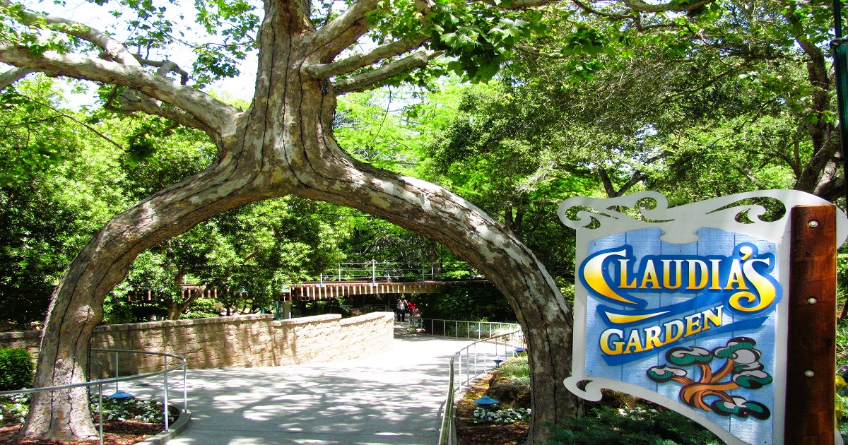 One Of The Best Gardens In California: Circus Trees In Gilroy