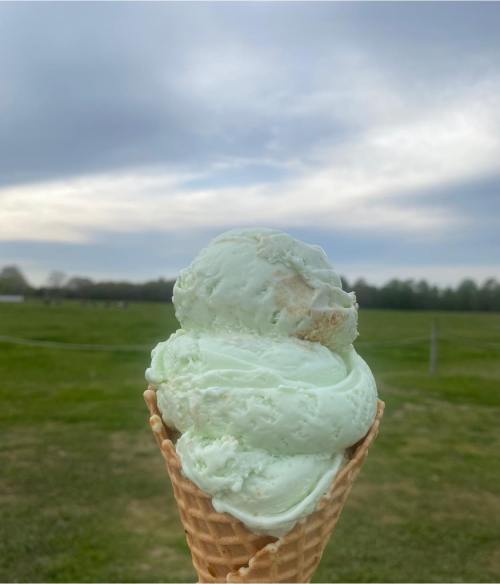 Vanderwende Creamery Makes The Best Ice Cream In Delaware