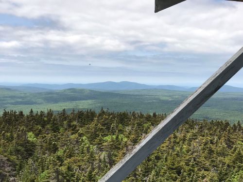 7 Fire Tower Hikes In Vermont For The Most Rewarding Views
