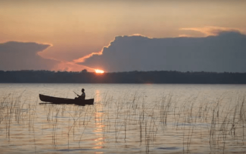 Explore Knight Island State Park in Vermont