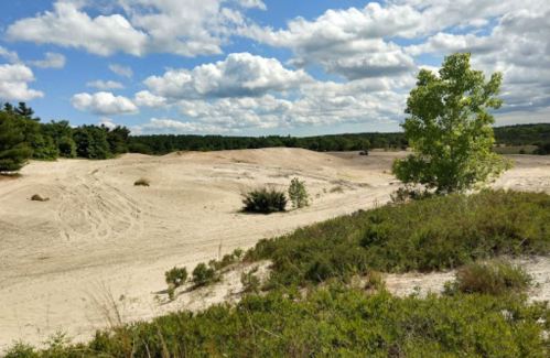 Rhode Island's Desert: Take A Hike In Big River Management Area