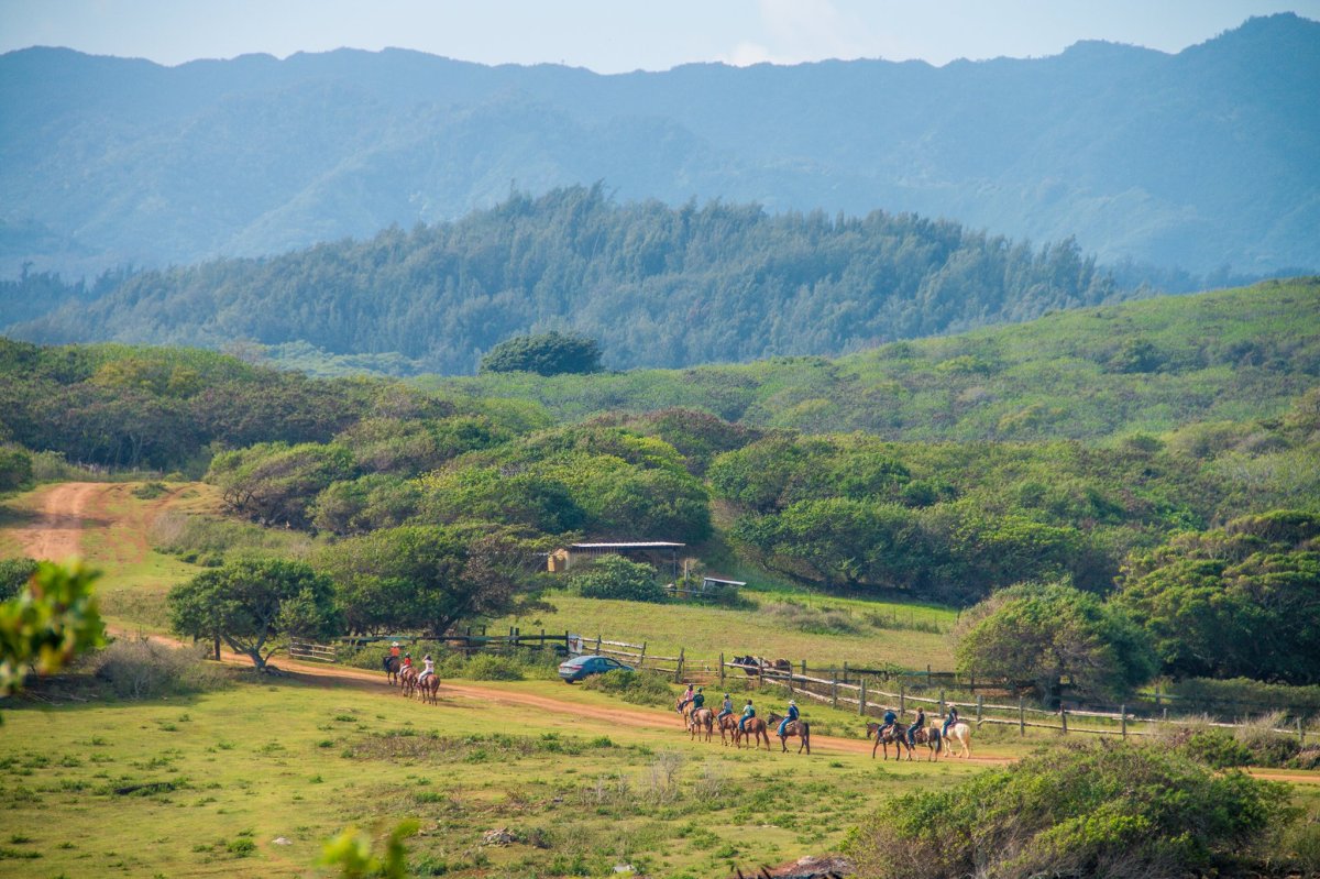 This 600-Acre Ranch Is One Of The Best Ranches in Hawaii