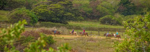 This 600-Acre Ranch Is One Of The Best Ranches in Hawaii