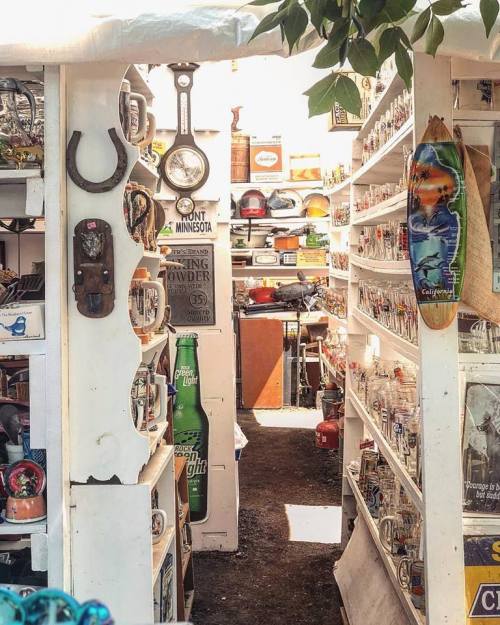 A Must See: Shady Hollow Flea Market in Detroit Lakes, Minnesota