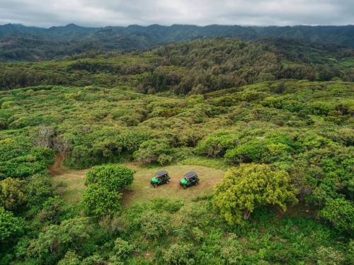 This 600-Acre Ranch Is One Of The Best Ranches in Hawaii