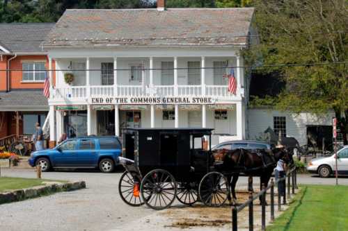 The 10 Best Ohio Amish Country Stores and Markets