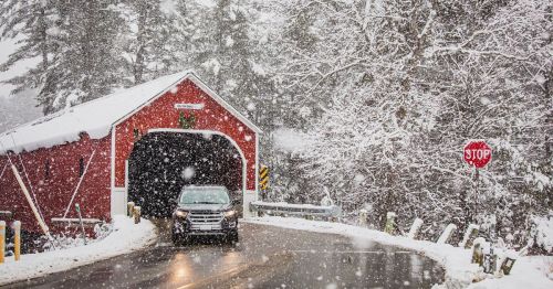 The Six Best Pumpkin Patches in New Hampshire