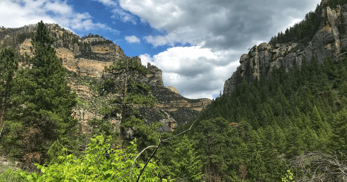 Tongue River Canyon In Wyoming Is One Of The Coolest Trails
