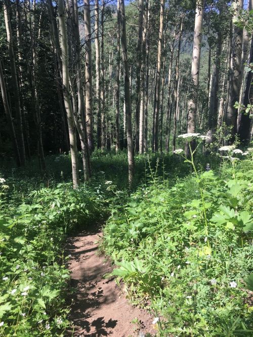 Fulford Cave: Little-Known Caves In Colorado