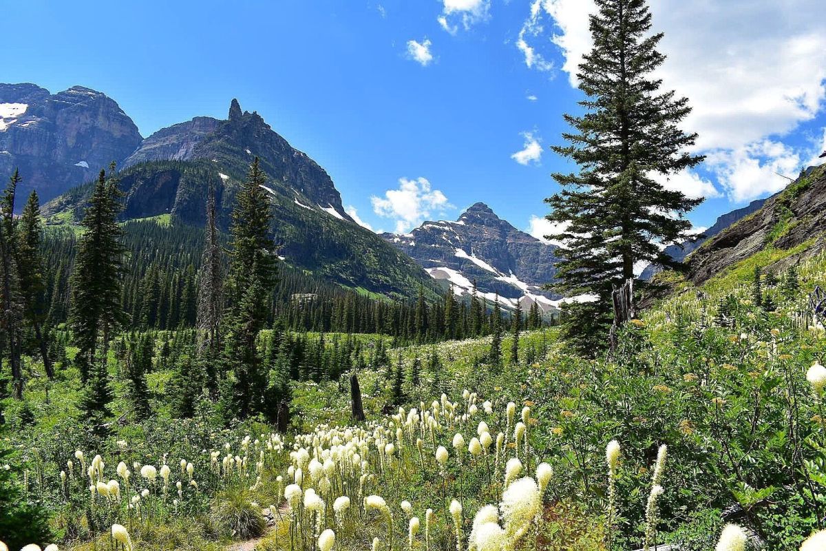 These Alpine Hikes Are Some Of The Best Trails In Montana