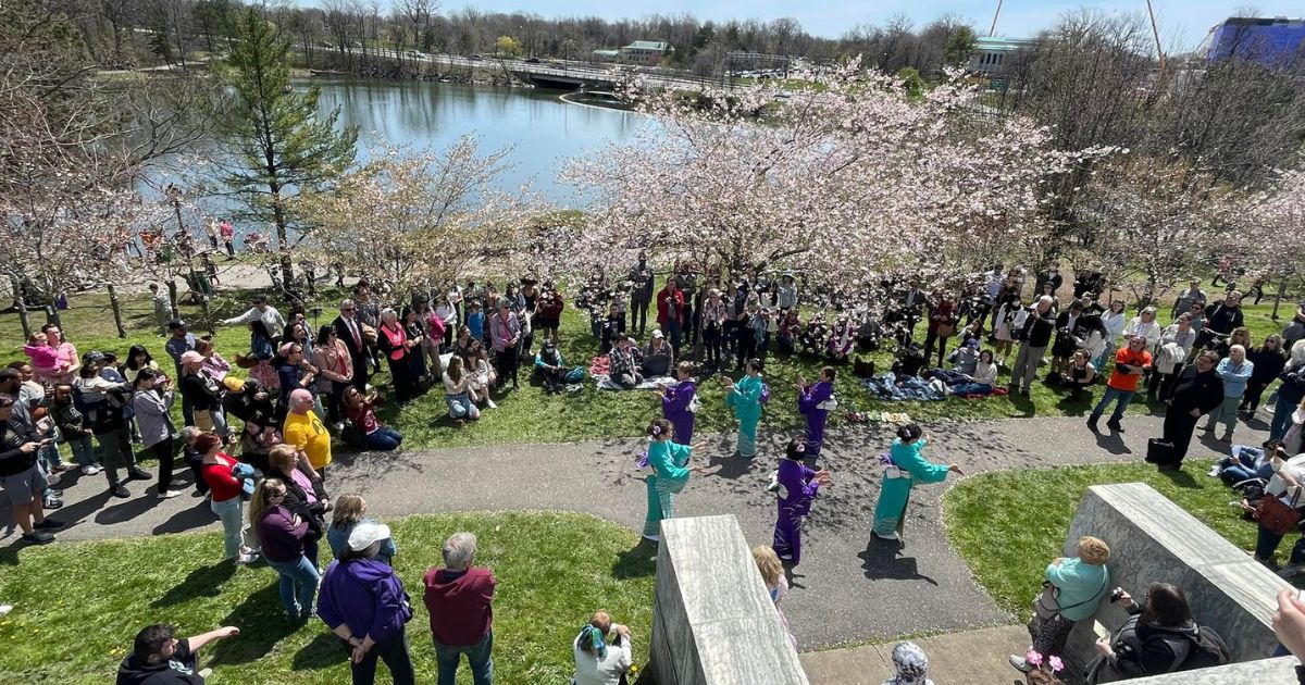 Buffalo Cherry Blossom Festival: The Best Festival In Spring 2024