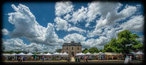 Best Spring Festivals In Texas: Blanco Lavender Festival