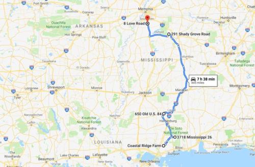 Sunflower Fields In Mississippi: A Beautiful Road Trip