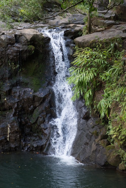 Hike To The Waikamoi Stream And Waterfalls In Hawaii