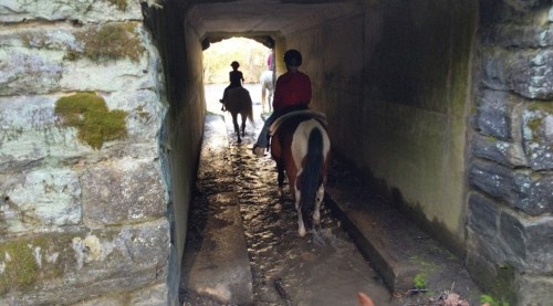 Enjoy A Scenic Waterfall Horseback Riding Tour In North Carolina