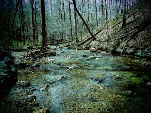 The Machine Falls Loop Trail Leading To A Secret Waterfall