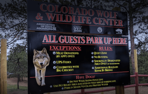 This Wolf Sanctuary In Colorado Is A Fun Place To Visit