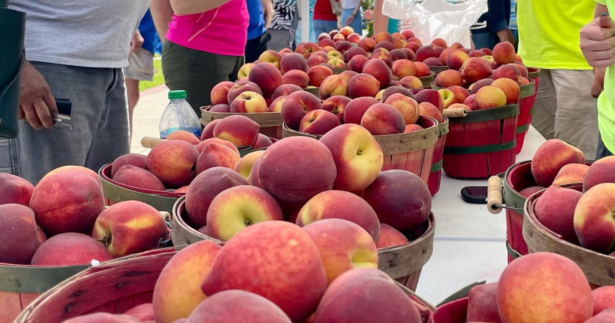 This Charming Peach Festival In Louisiana Is The Sweetest Thing You’ll ...
