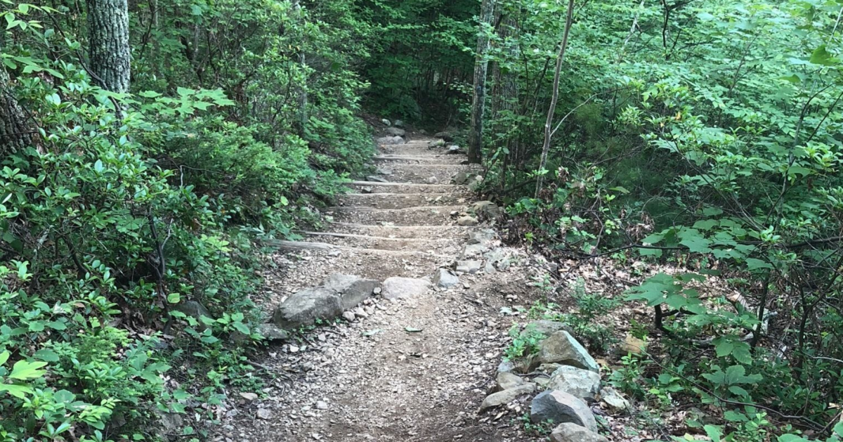 Overall Run Falls In Virginia Features An Amazing Swimming Hole