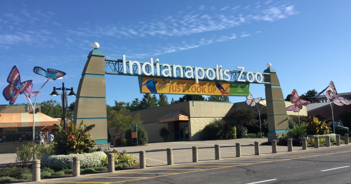 You'll Have A Memorable Dolphin Adventure In Indiana At This Zoo