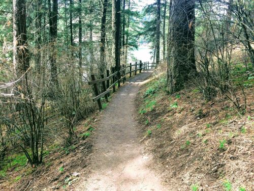 The Mineral Ridge Trail In Idaho Is An Unforgettable Hiking Trail