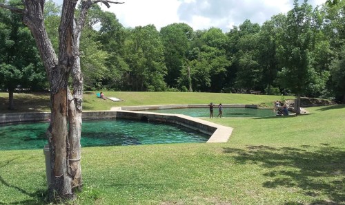 Swimming Holes In Alabama: Blue Springs Is Hiding TWO Of Them