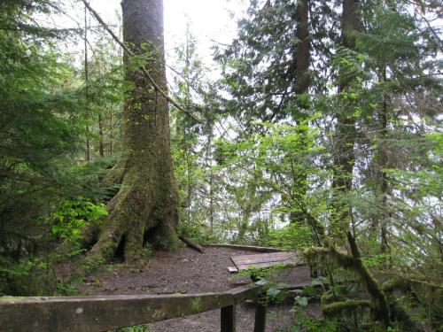 Private Campgrounds in Washington State: 7 Of The Best