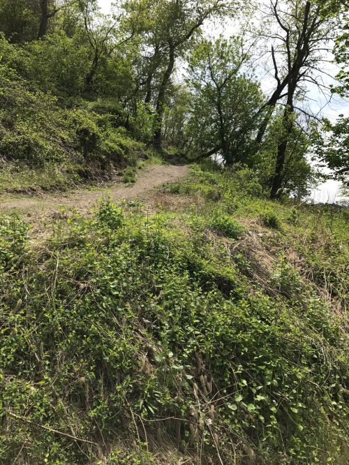 Breathtaking Views: Emerald View Trail In Pennsylvania