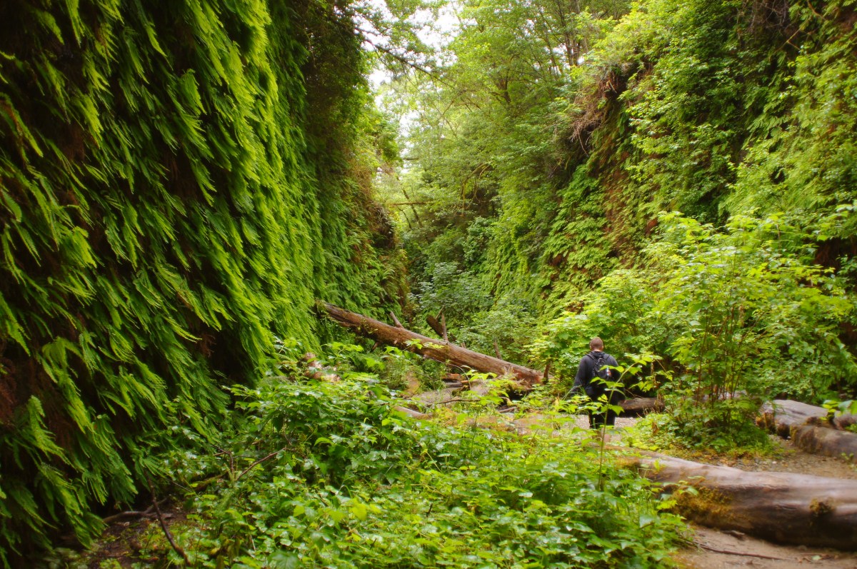 This Deep Green Gorge In California Is Out Of A Fairy Tale