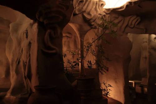 Discover Cafe Archetypus: A Unique Cave-Themed Café in New Jersey