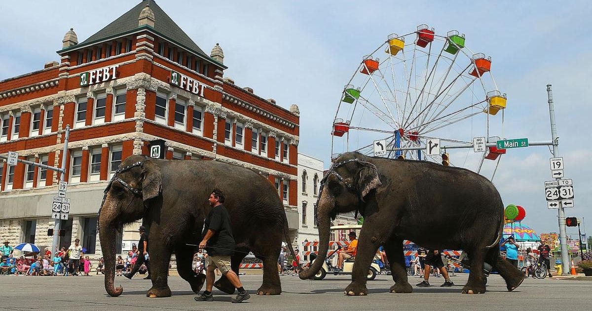 This Circus Festival In Indiana Is Unlike Any Other Festival You’ve ...