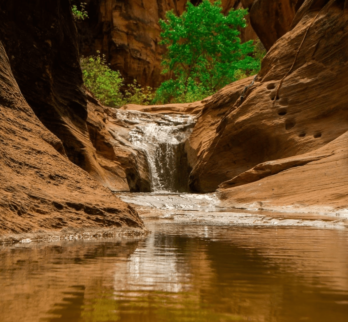 Red Reef Natural Water Slides In Utah: Red Reef Trail In Southern Utah