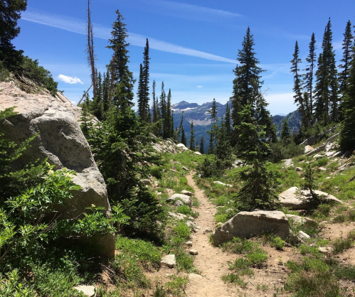 The Silver Glance Lake Trail Takes You Near A Sword In A Stone