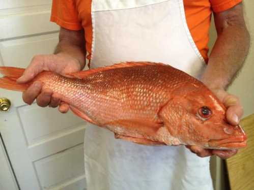 A Small Town Ohio Seafood Market And Restaurant, Hil-Mak Has Some Of ...