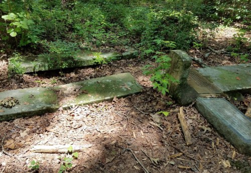 Ghost Island Lake Hartwell: An Abandoned Relic Of The Past