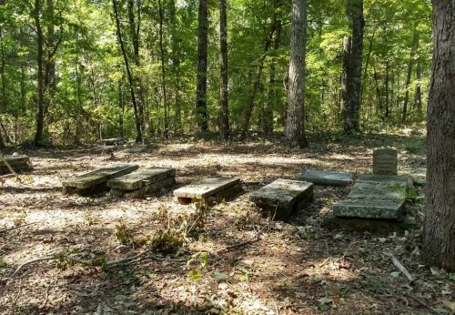 Ghost Island Lake Hartwell: An Abandoned Relic Of The Past