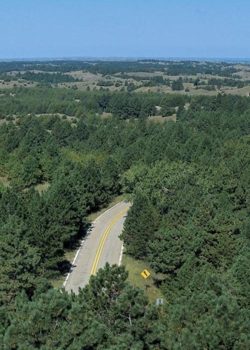 The Fascinating Man-Made Forest In Nebraska You Need To See