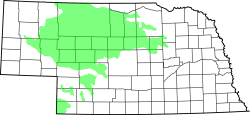 12 Photos That Prove The Nebraska Sandhills Are Stunning