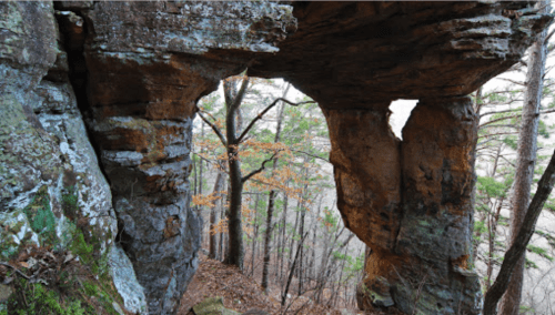Cub Nugget Cave Is A Little Known Cave In Arkansas