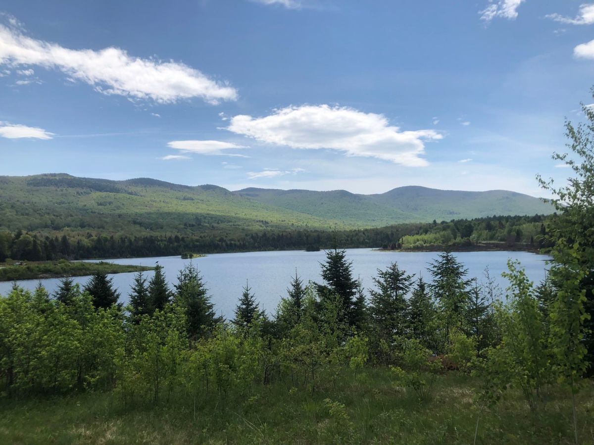 Blueberry Lake in Vermont: A Hidden Swimming Hole