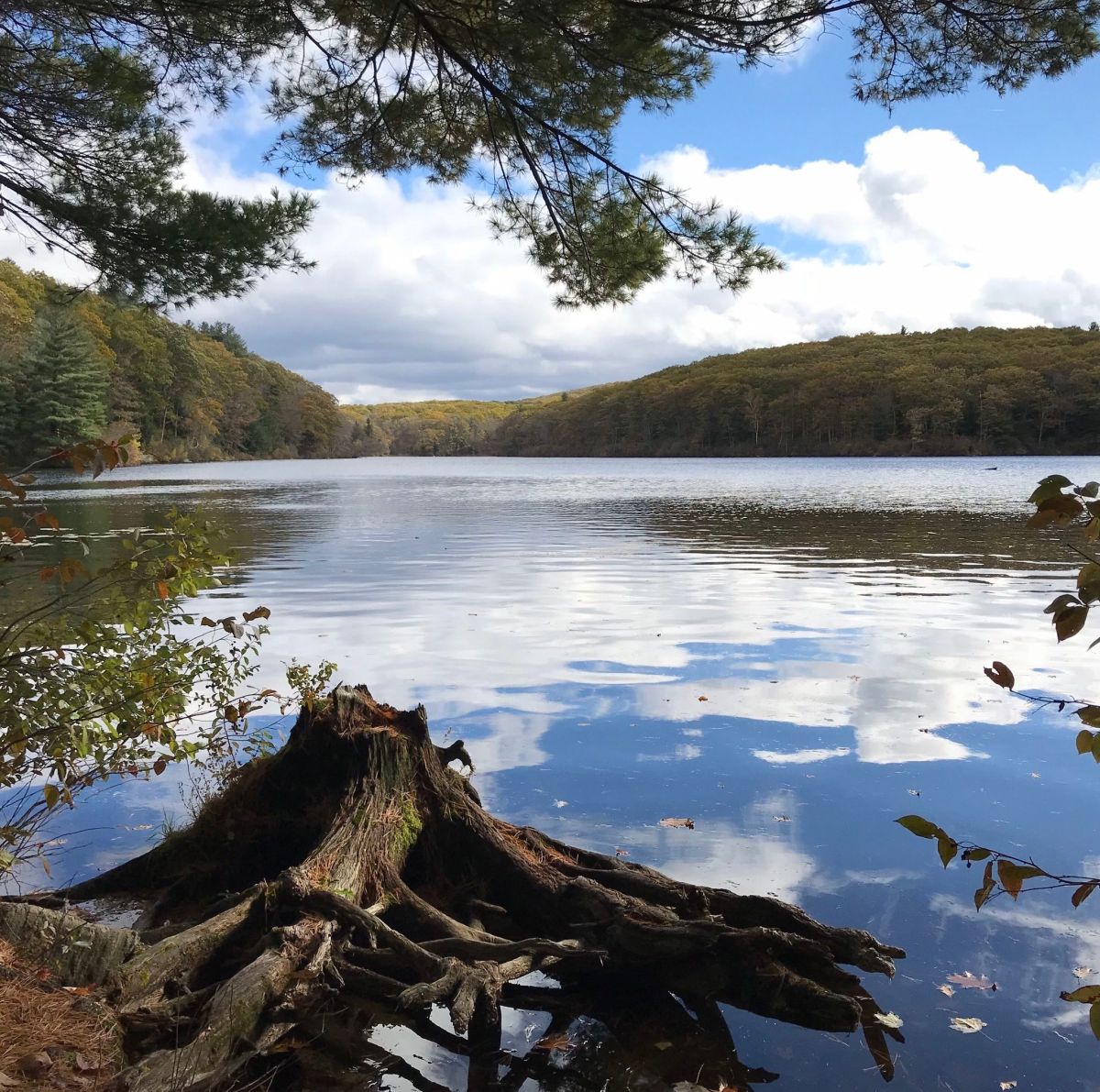 Take A Refreshing Hike To Benedict Pond In Massachusetts