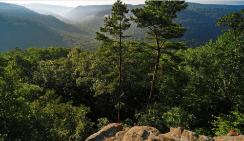 Cub Nugget Cave Is A Little Known Cave In Arkansas
