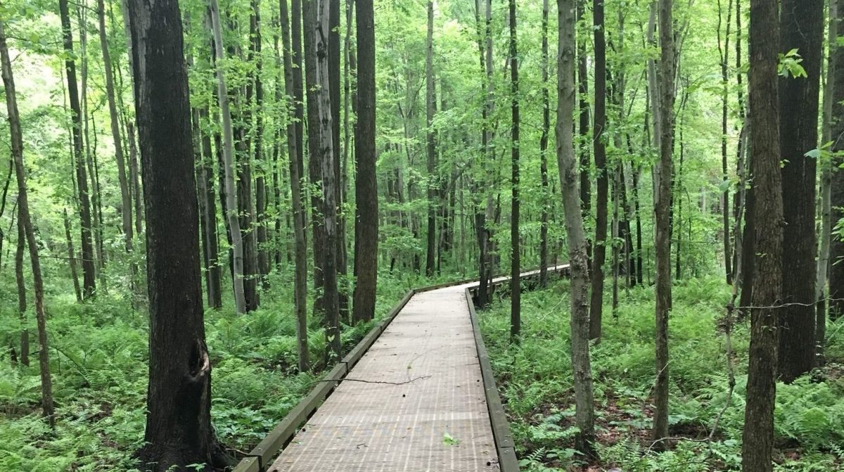 One Of The Best Hikes In Delaware Is Also The Most Haunted