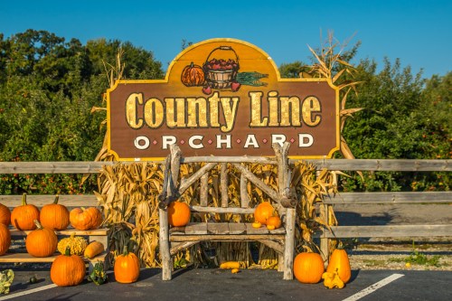 10 Best Apple Orchards In Indiana For A Fall Day