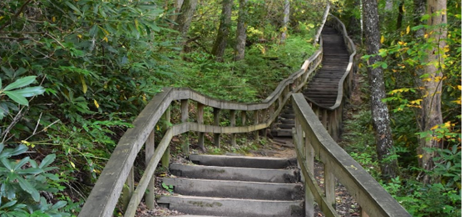 Check Out This Waterfall Stairway Walk In North Carolina