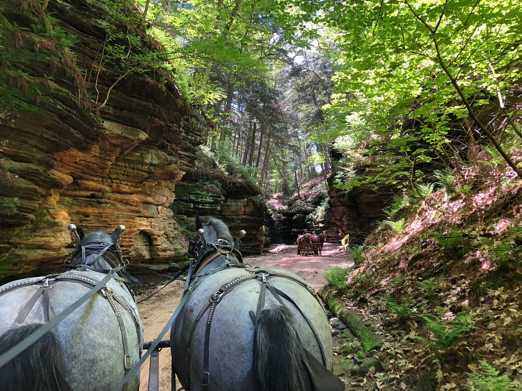 Take This Horse Drawn Carriage Ride Through A Wisconsin Canyon For A ...