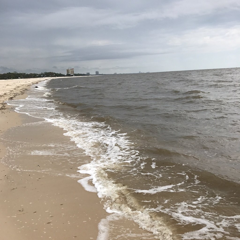 Why Is The Mississippi Gulf Coast Water Brown? Find Out Here.