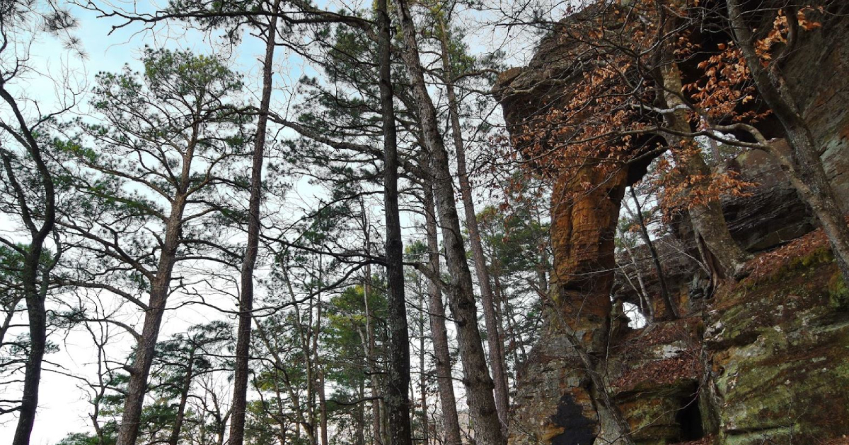 Cub Nugget Cave Is A Little Known Cave In Arkansas