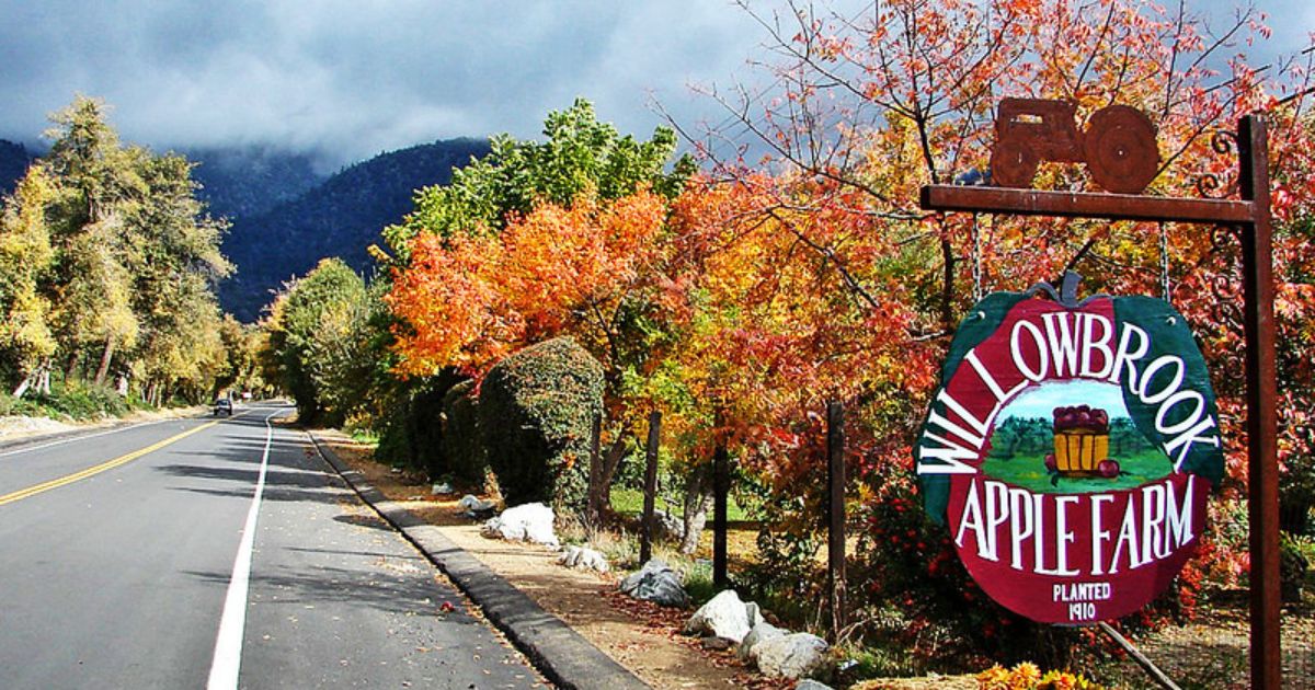 These 6 Charming Apple Orchards In Southern California Are Great For A ...